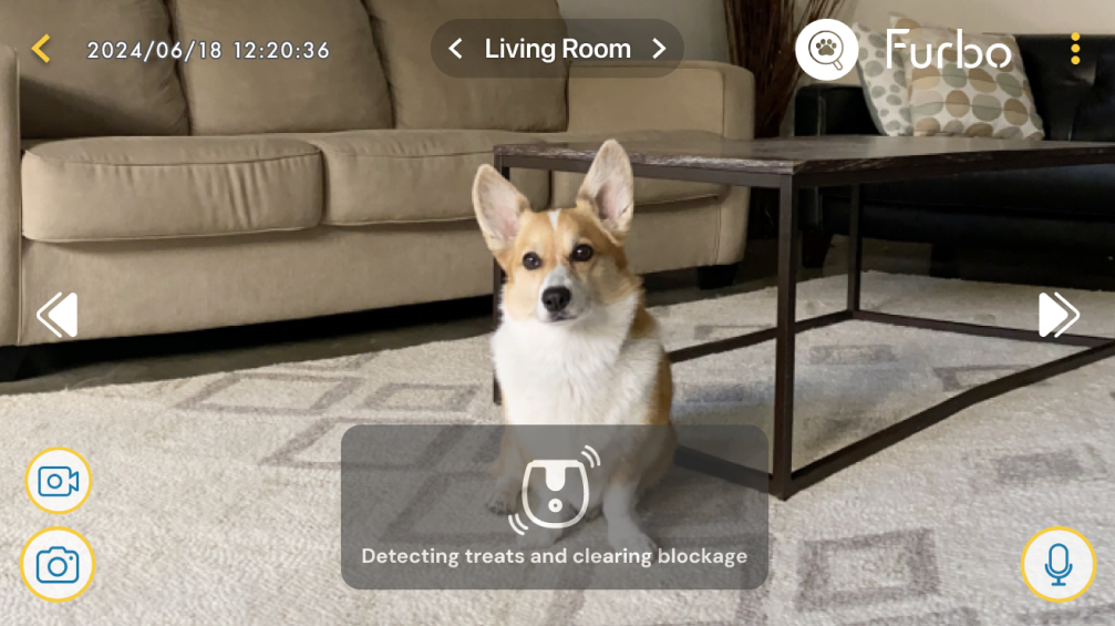 How Furbo Mini 360° treat tossing works – Furbo Help Center